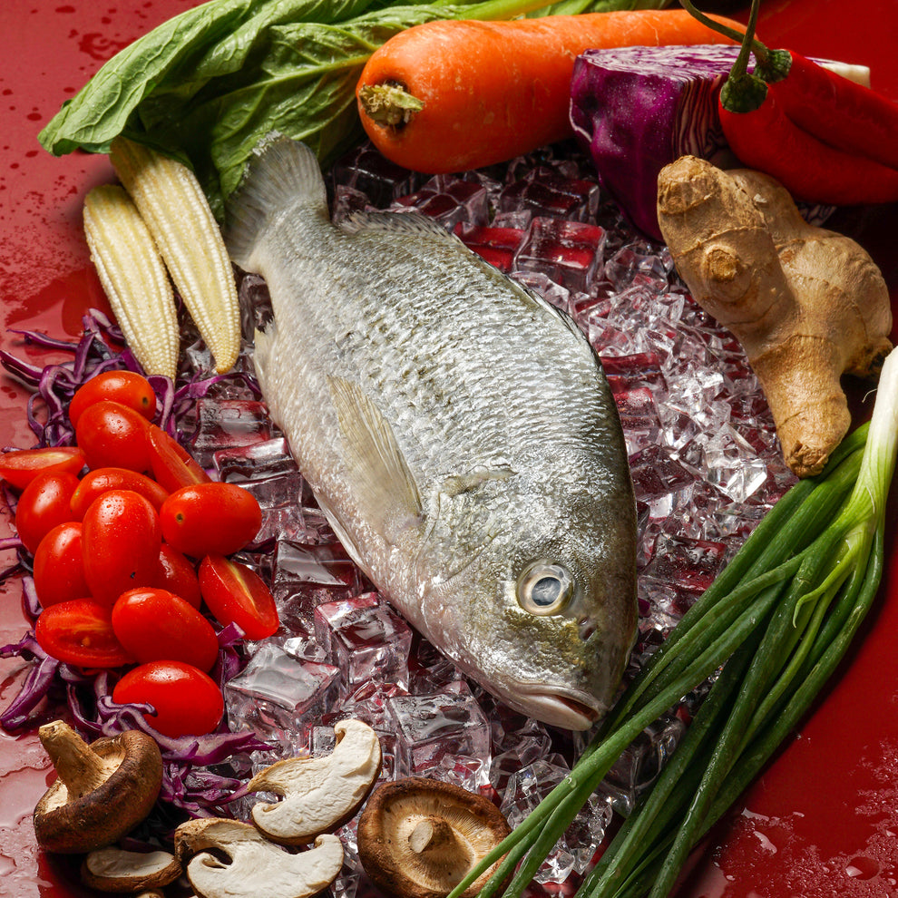 White Snapper – seamongersg